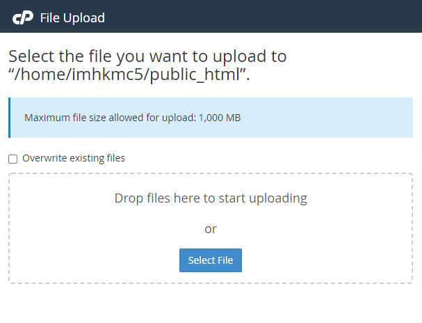 Upload File In File Manager Web Hosting Hub 